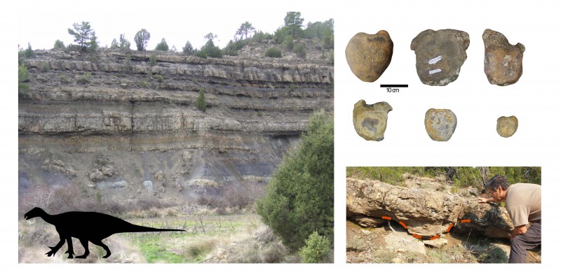 Grandes dinosaurios ornitópodos reinaban en lagos costeros de Teruel ...